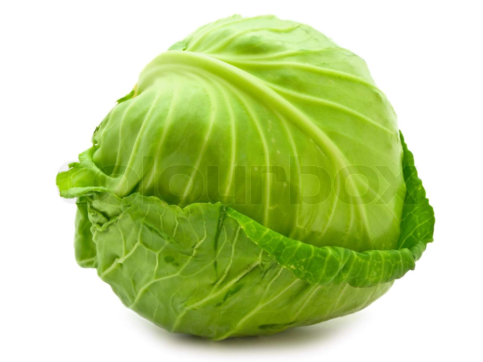 Photo of the single green cabbage against the white background | Stock ...
