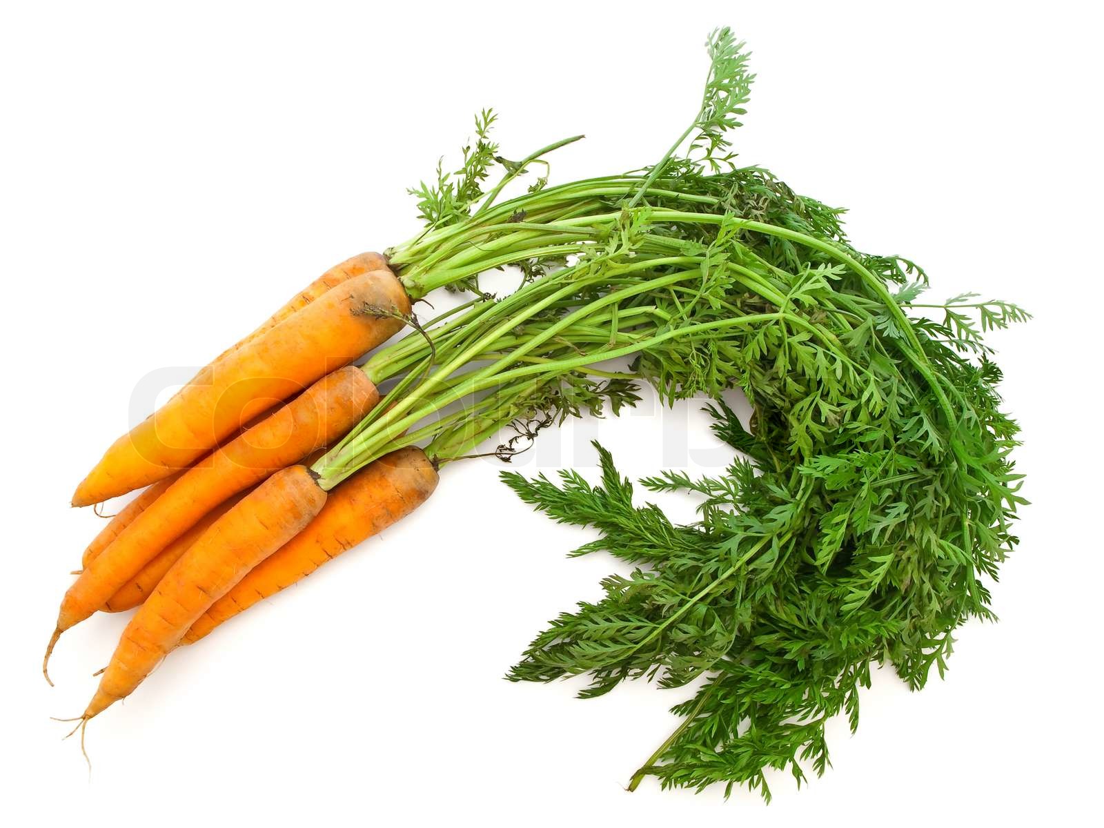 Bunch of Karotten auf dem weißen Hintergrund | Stock Bild | Colourbox