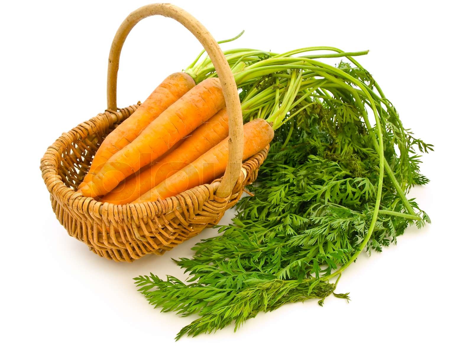 Bund Karotten in einem Weidenkorb | Stock Bild | Colourbox