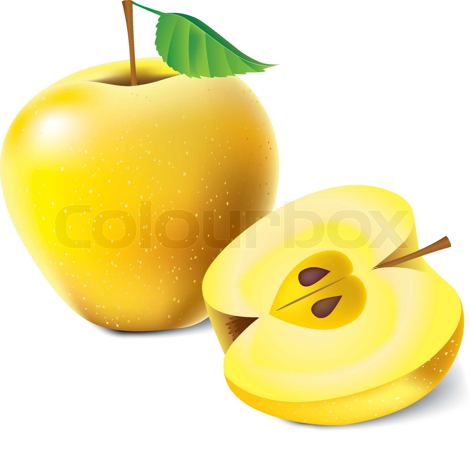 Yellow Äpfel Vektor-Illustration isoliert über weißem Hintergrund ...