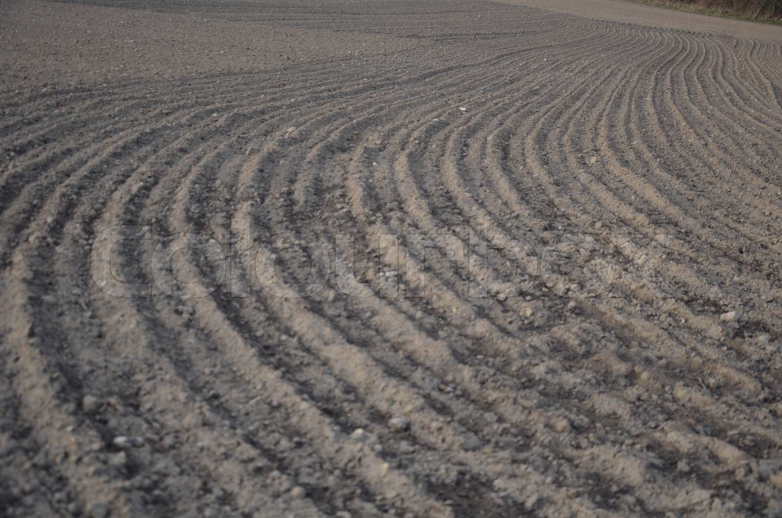 sown field | Stock image | Colourbox