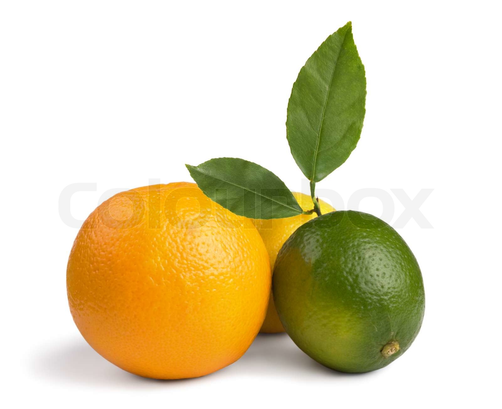 Bild einer frischen, ganzen Limette, Zitrone und Orange auf weißem ...