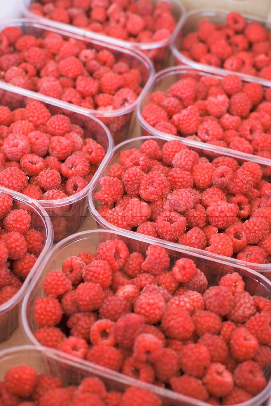 Fresh picked raspberries in plastic containers. Short depth-of-field ...