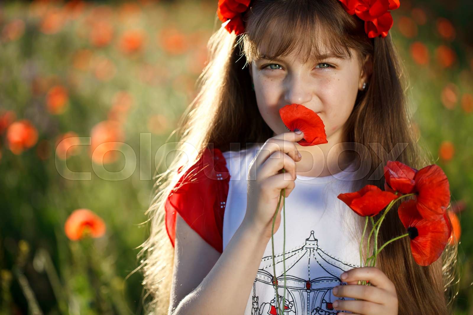 Portrait of a cute little girl with poppies | Stock image | Colourbox
