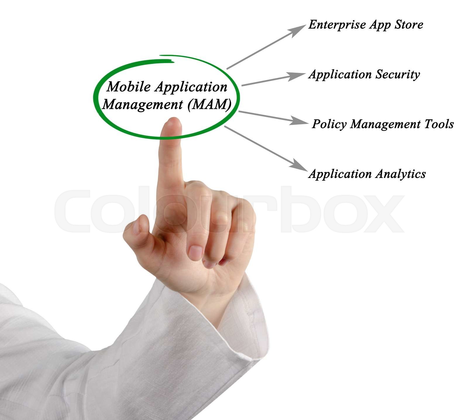 Diagram of Mobile Application Management | Stock image | Colourbox