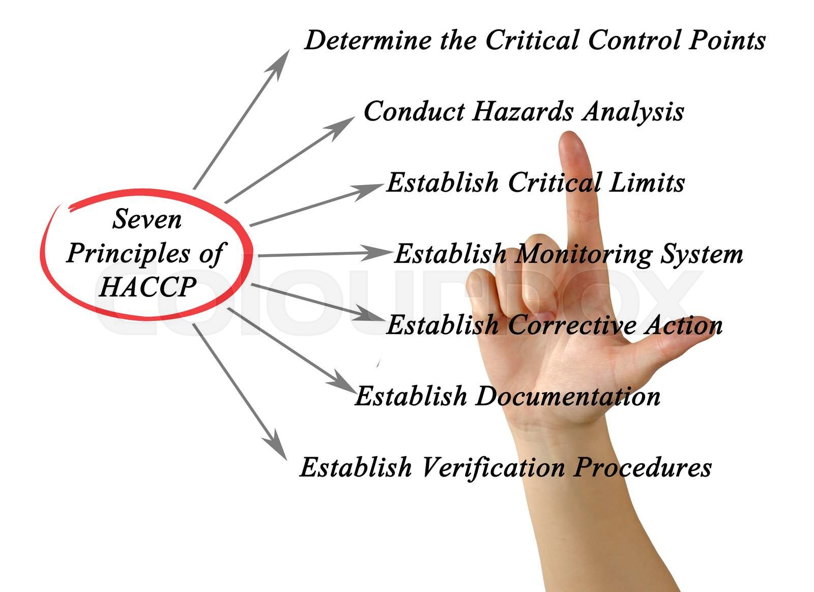 Haccp 7 Principles