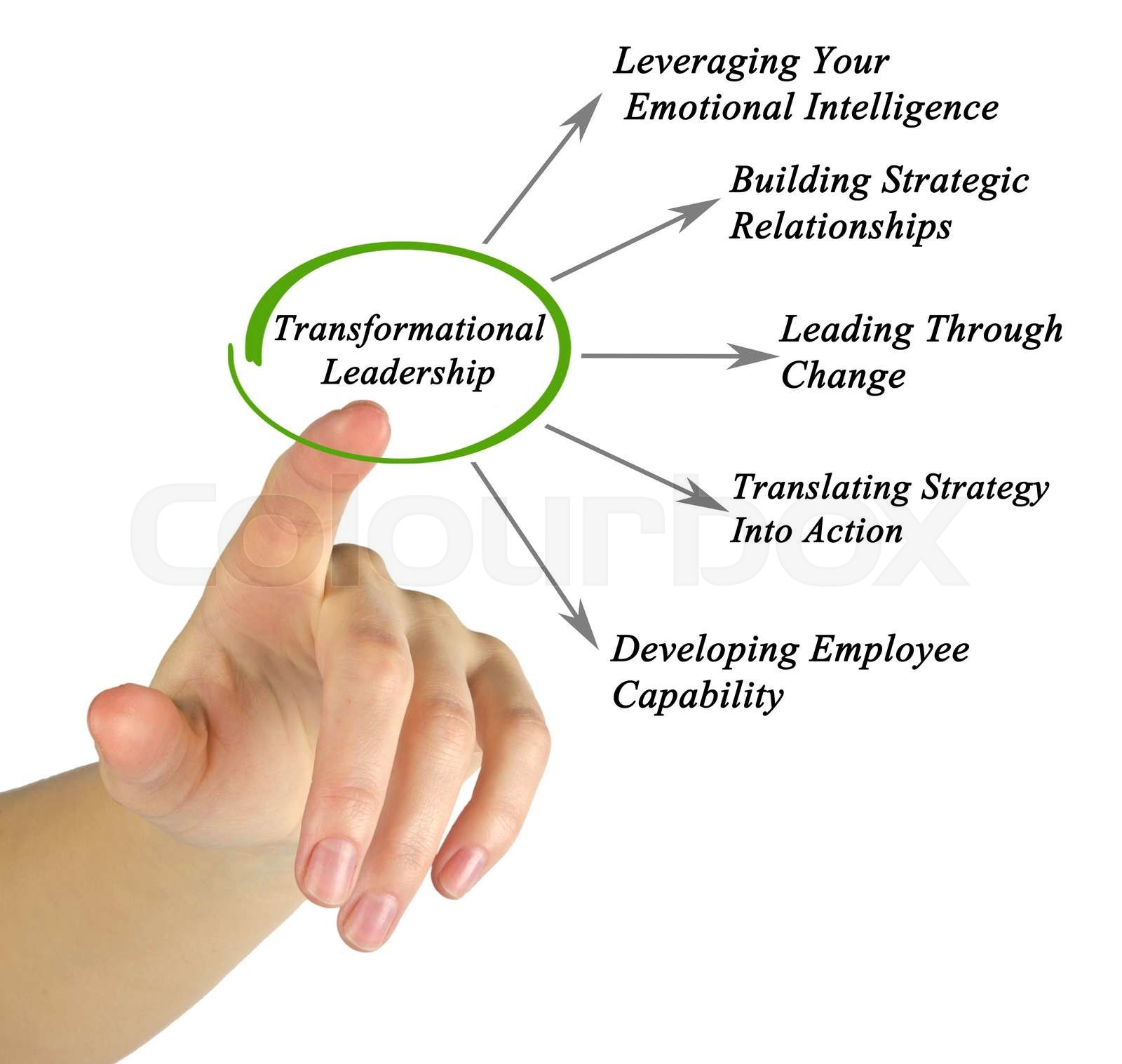 Transformational Leadership | Stock image | Colourbox