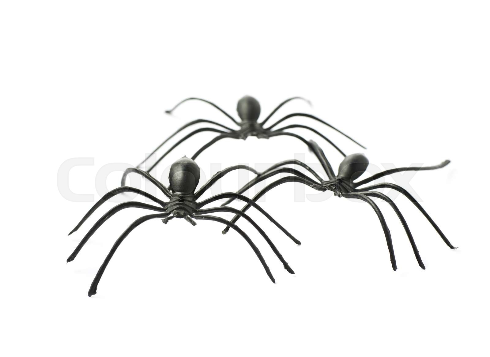 Rubber spider toy isolated | Stock image | Colourbox