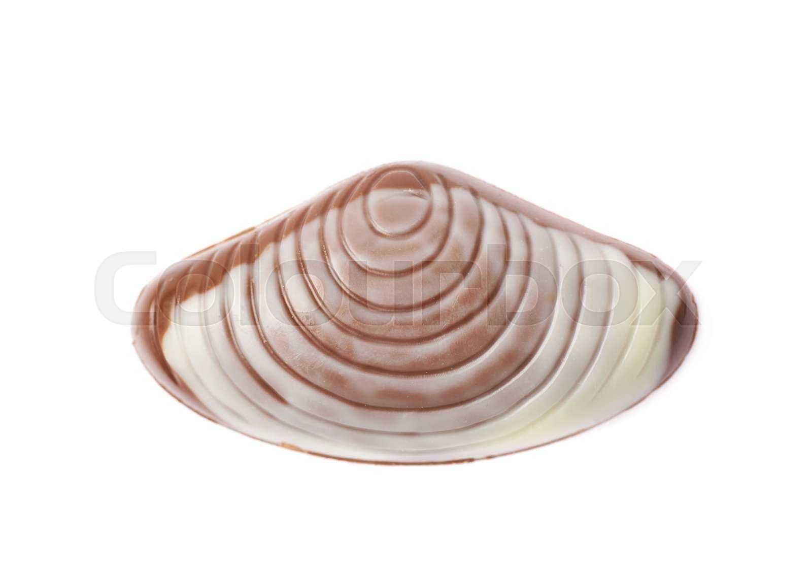Shell shaped chocolate candy | Stock image | Colourbox