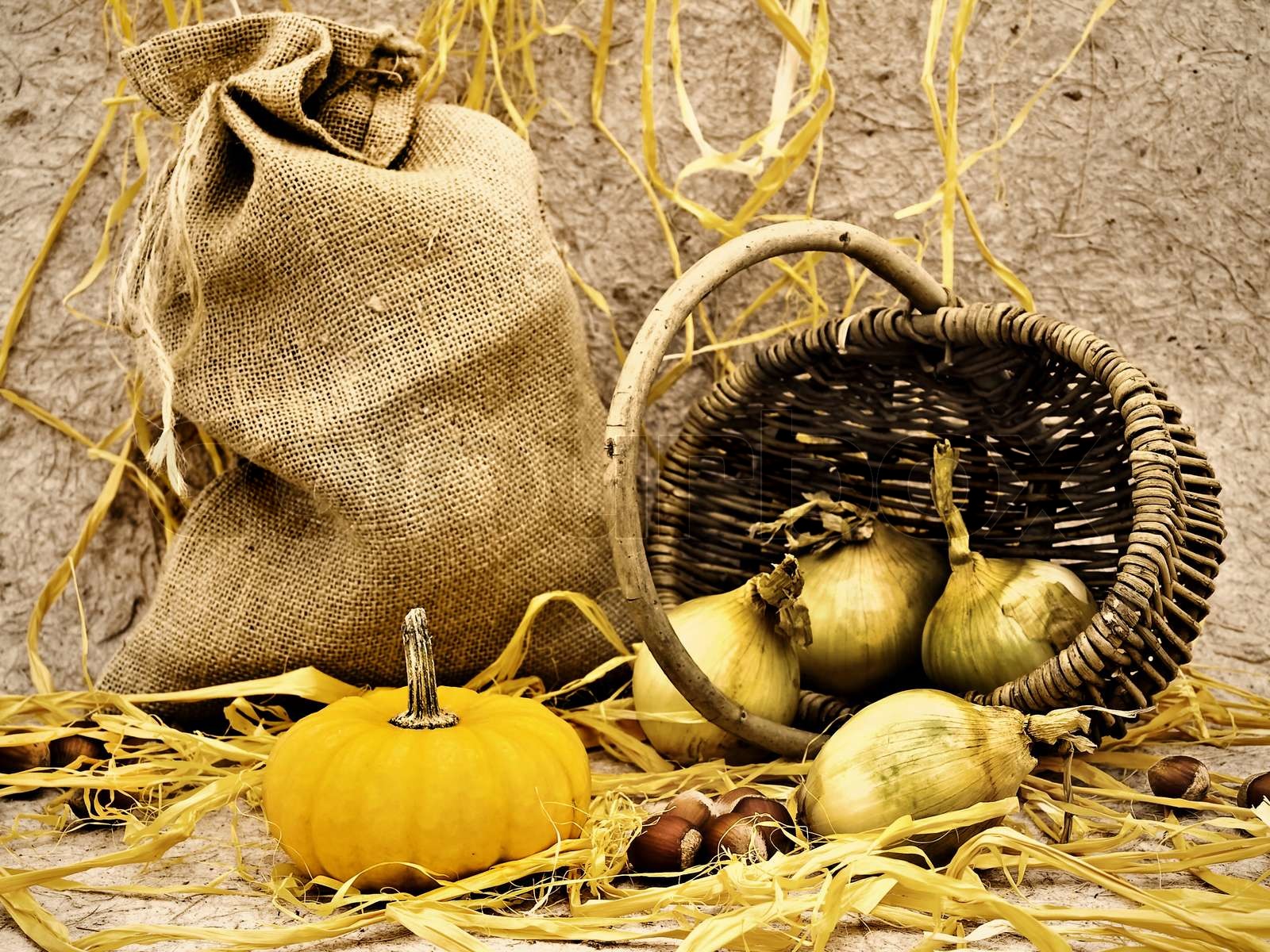 Stillleben mit Kürbis , Korb, Zwiebel und Muttern gegen beige ...