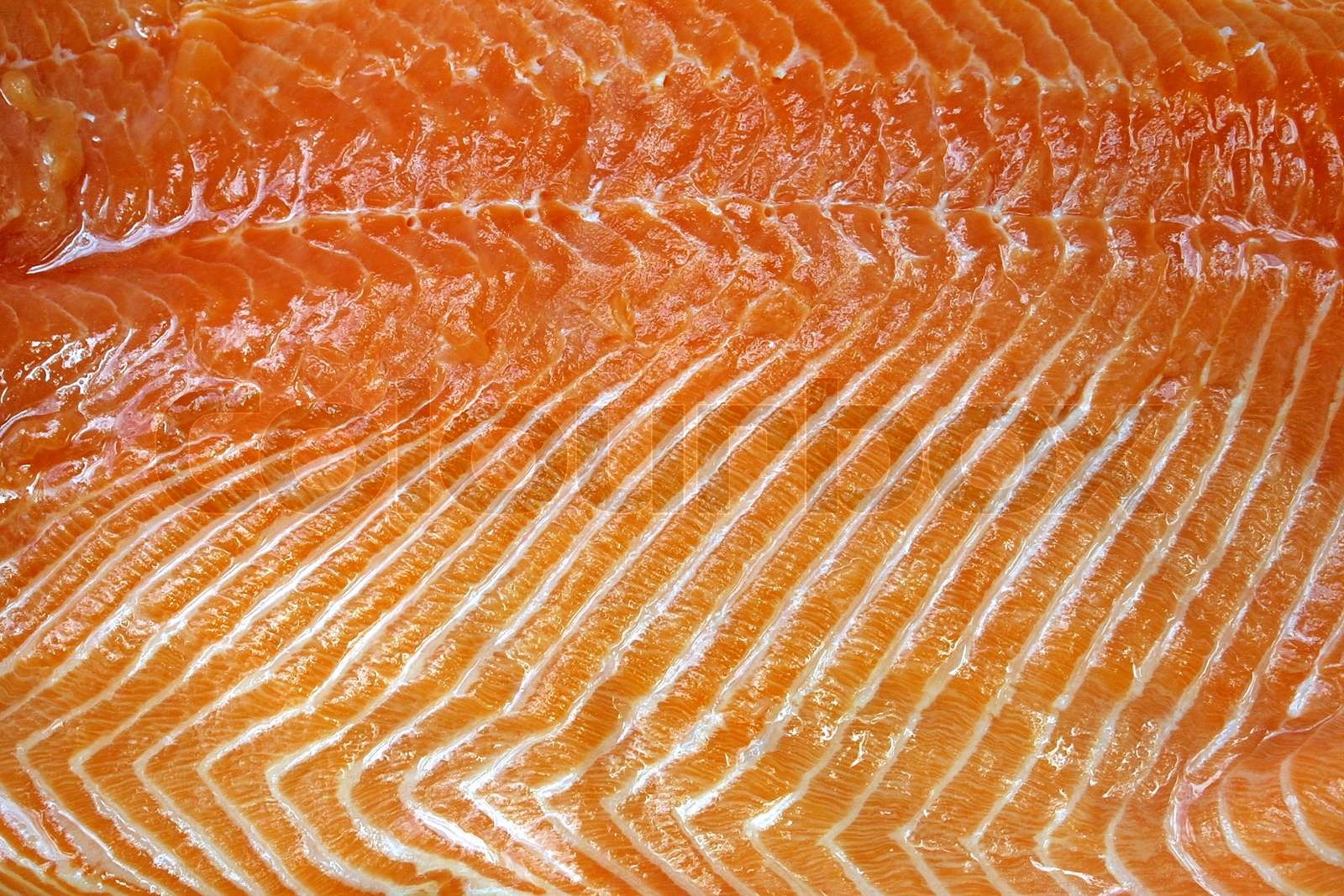 Close-up fresh salmon fillet | Stock image | Colourbox