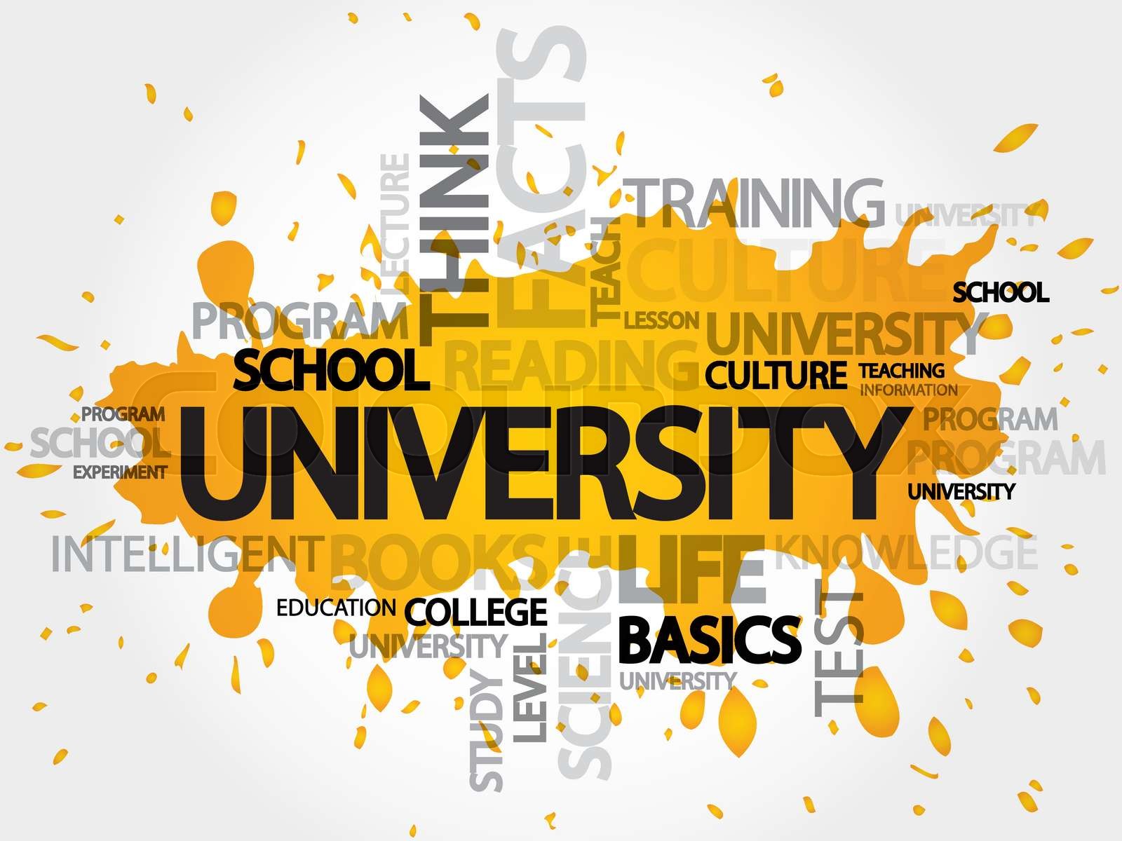 UNIVERSITY word cloud | Stock vector | Colourbox