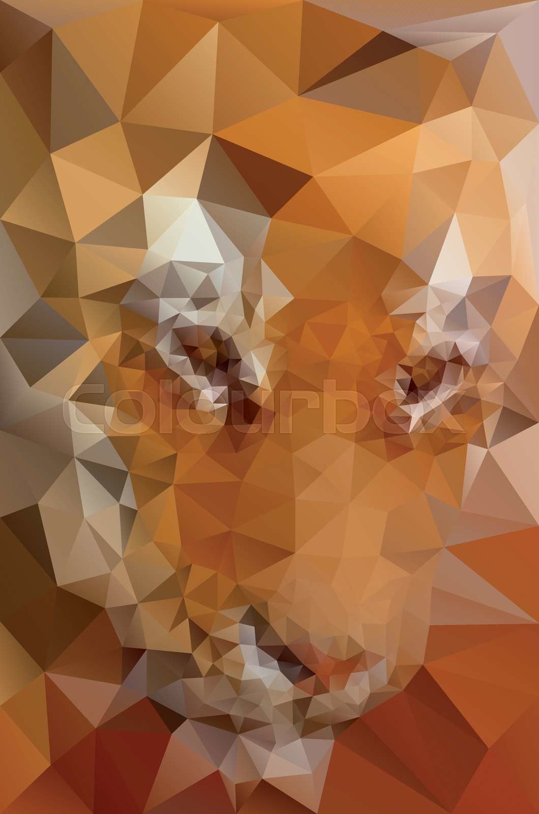 Triangular Tiger Face | Stock vector | Colourbox