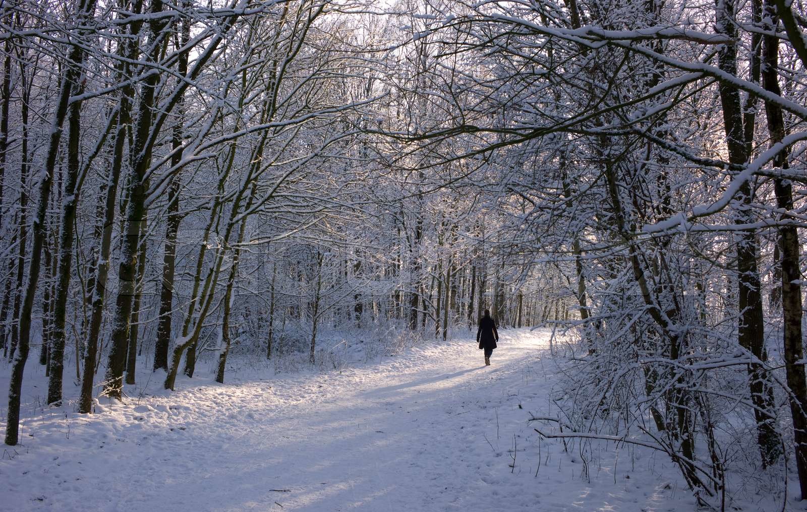 Winter landscape with people walking | Stock image | Colourbox