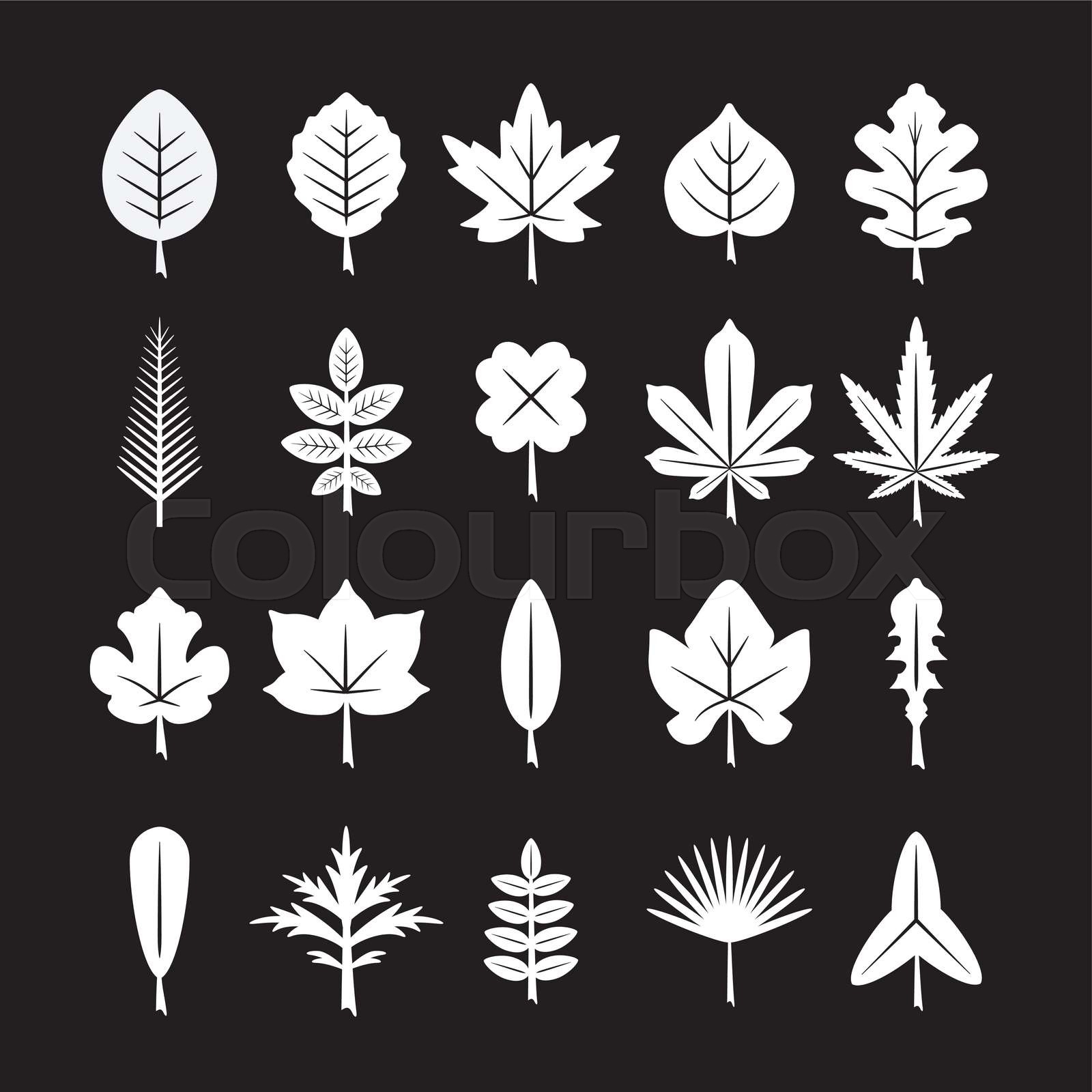 Set icons of leaf | Stock vector | Colourbox