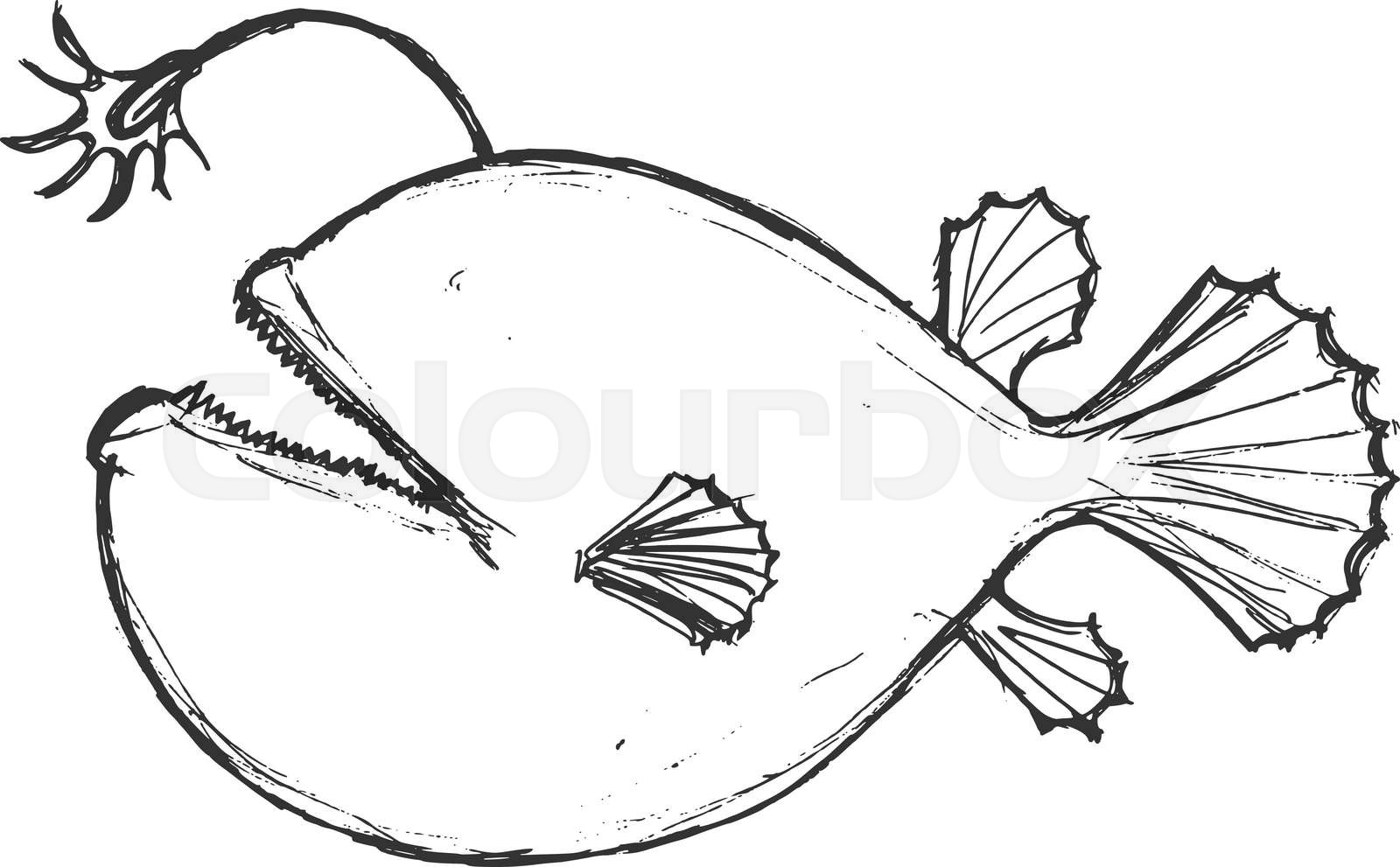 hand drawn, grunge, sketch illustration of deep-sea fish | Stock vector ...