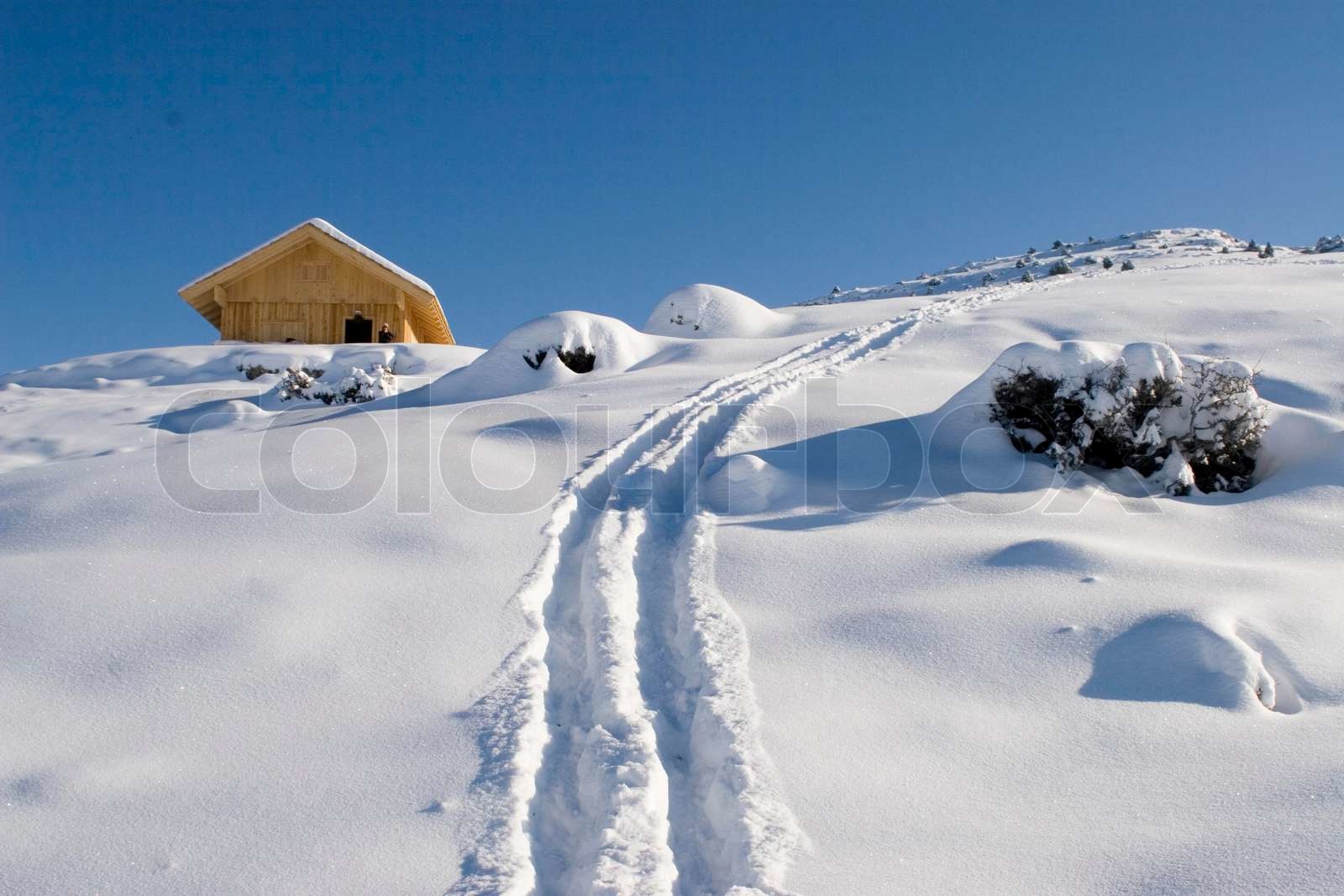 vintertid | Stock foto | Colourbox