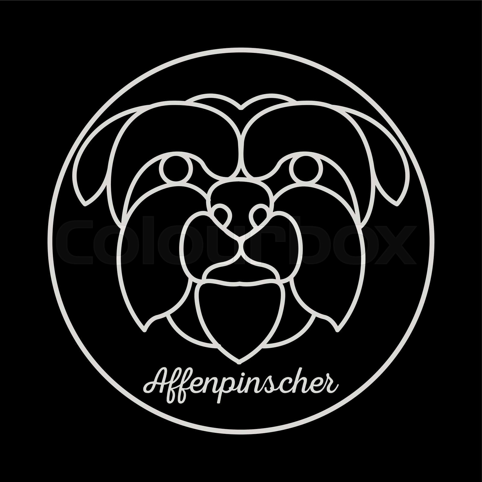 affenpinscher dog logo vector | Stock vector | Colourbox