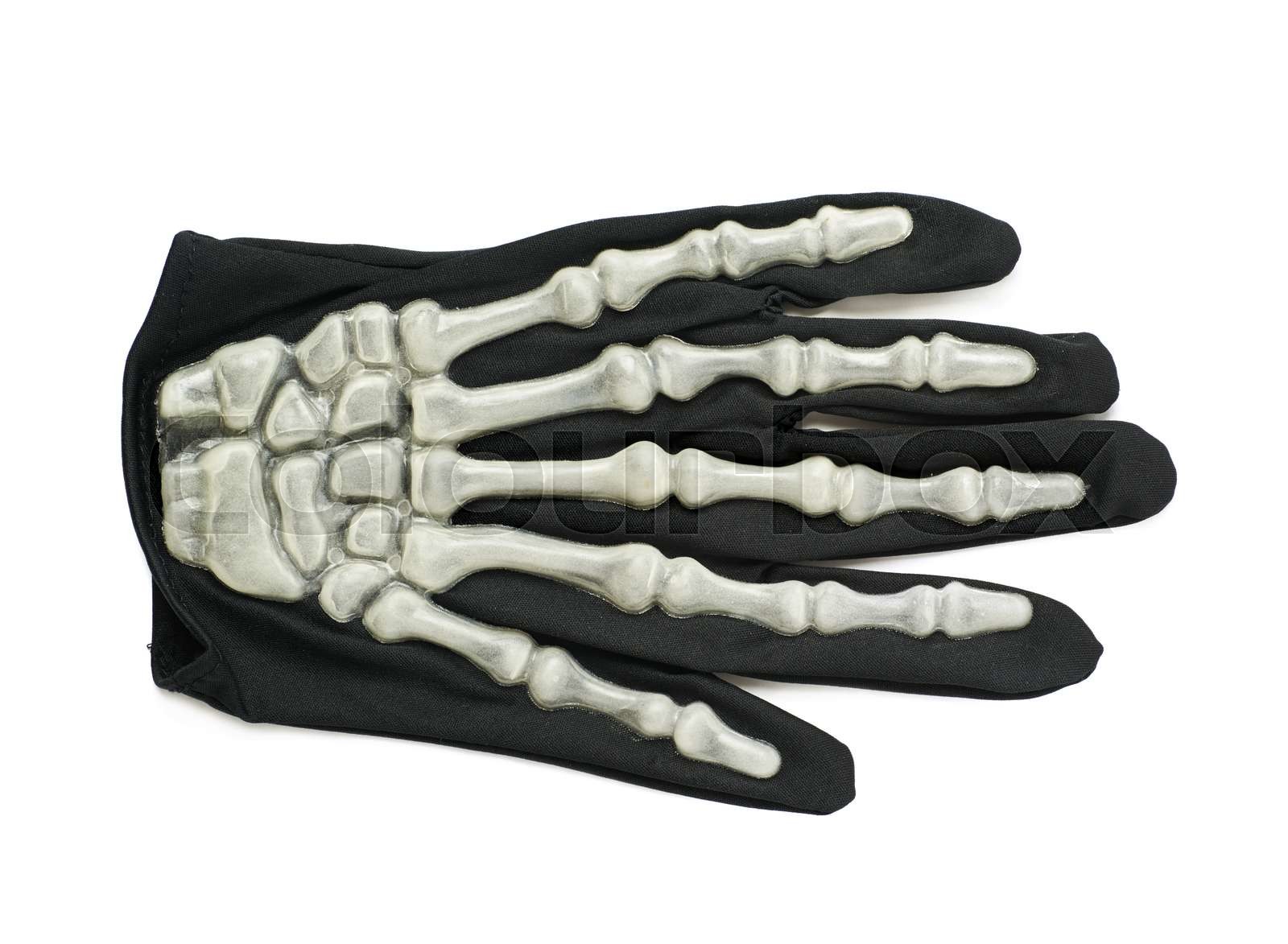Skeleton hand glove isolated | Stock image | Colourbox