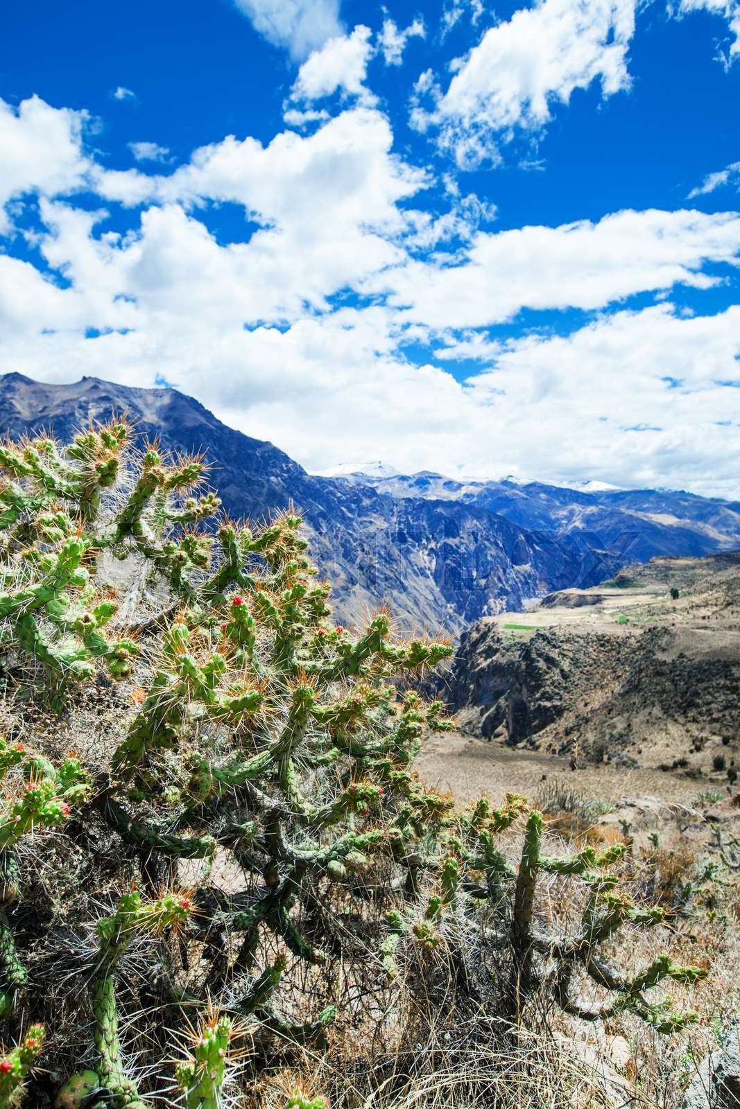 landscape Peru | Stock image | Colourbox