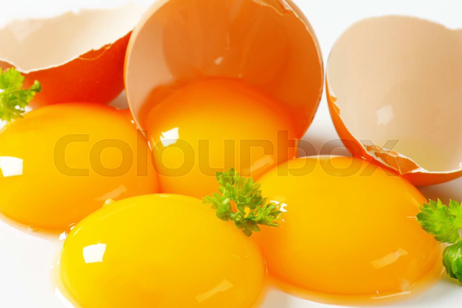 Raw egg yolks | Stock image | Colourbox