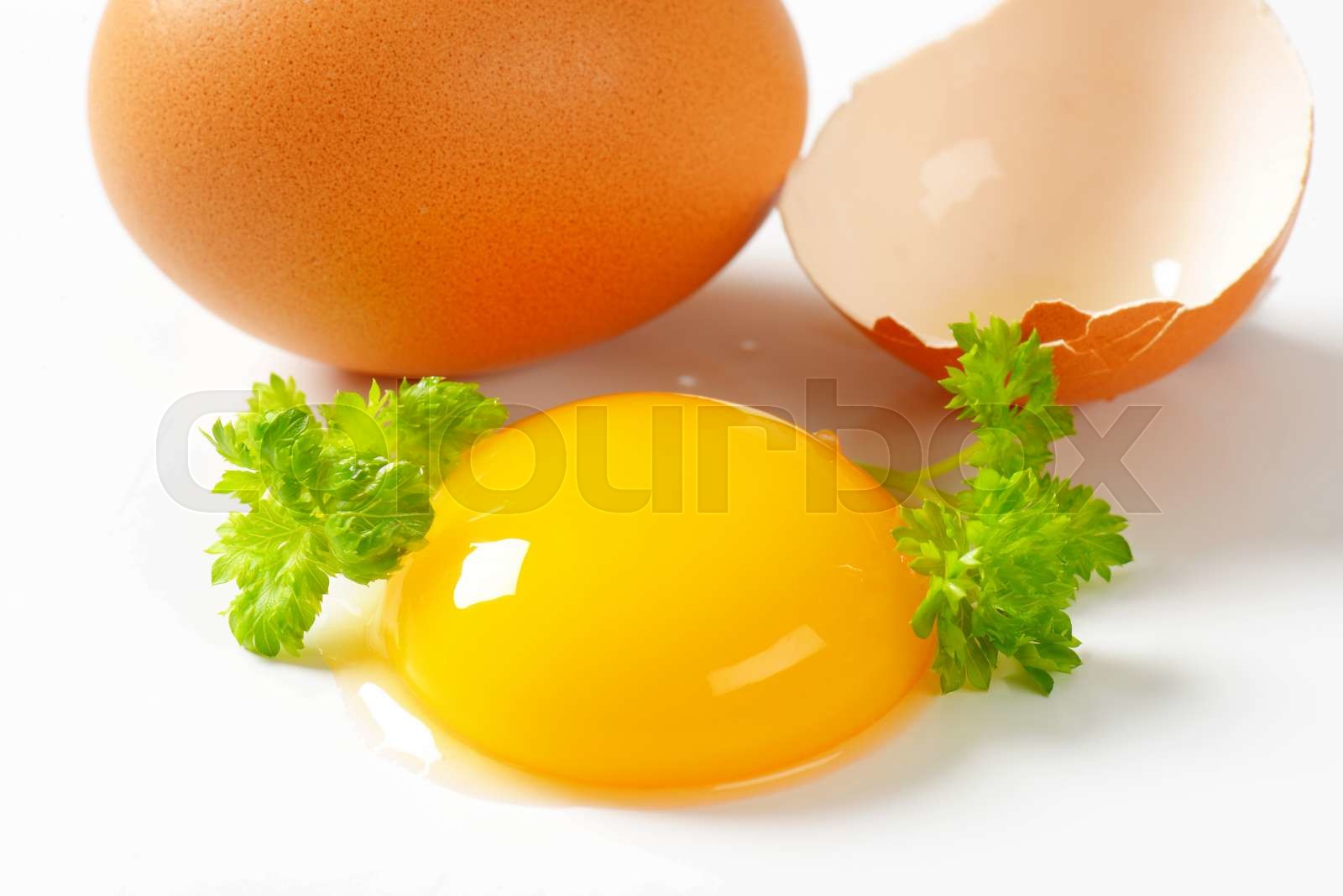 Raw egg yolk | Stock image | Colourbox