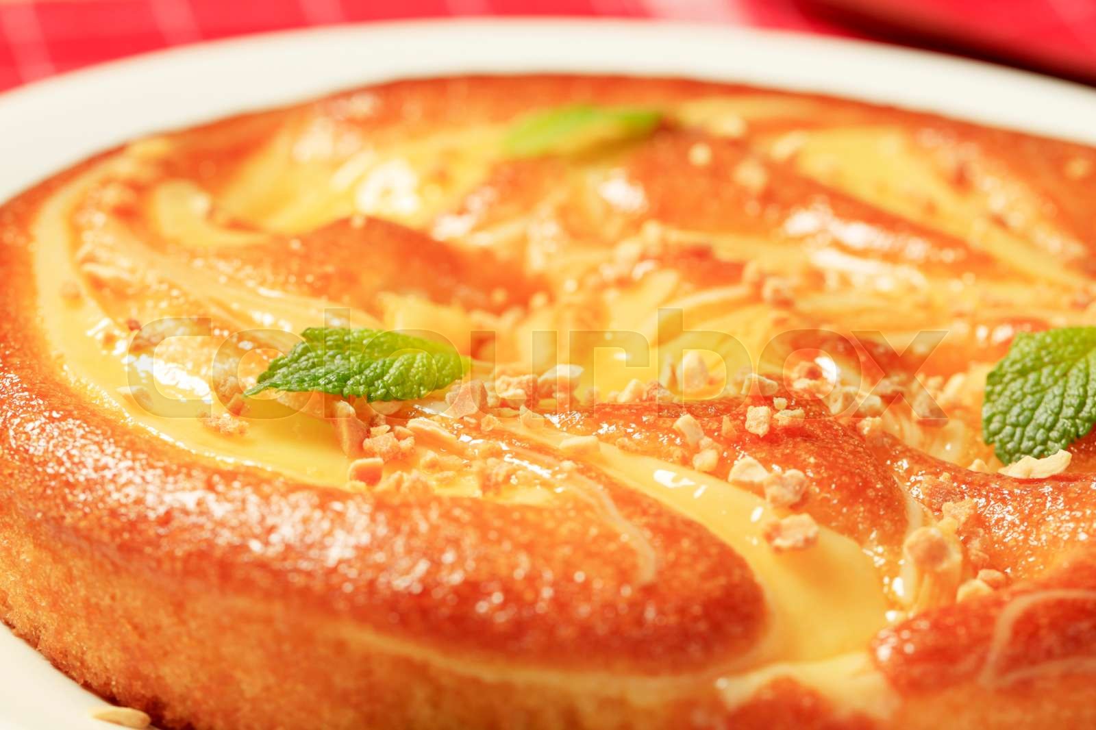 Sweet cheese sponge cake | Stock image | Colourbox