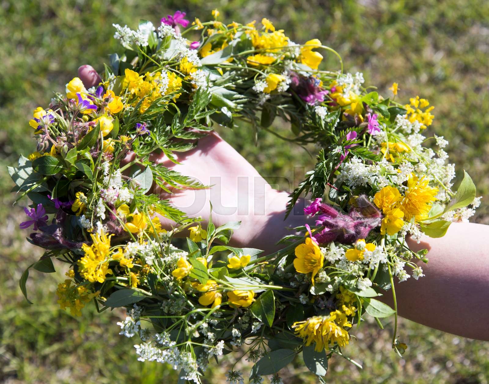 Swedish Midsummer Headgear Traditional | Stock image | Colourbox