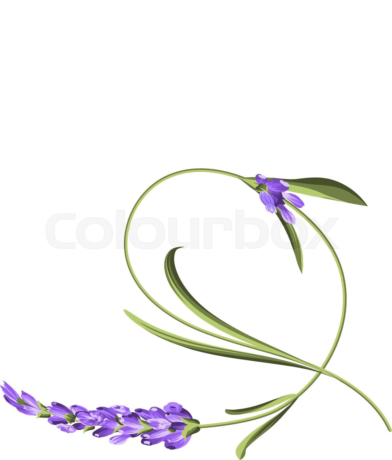 Bend single flower. | Stock vector | Colourbox