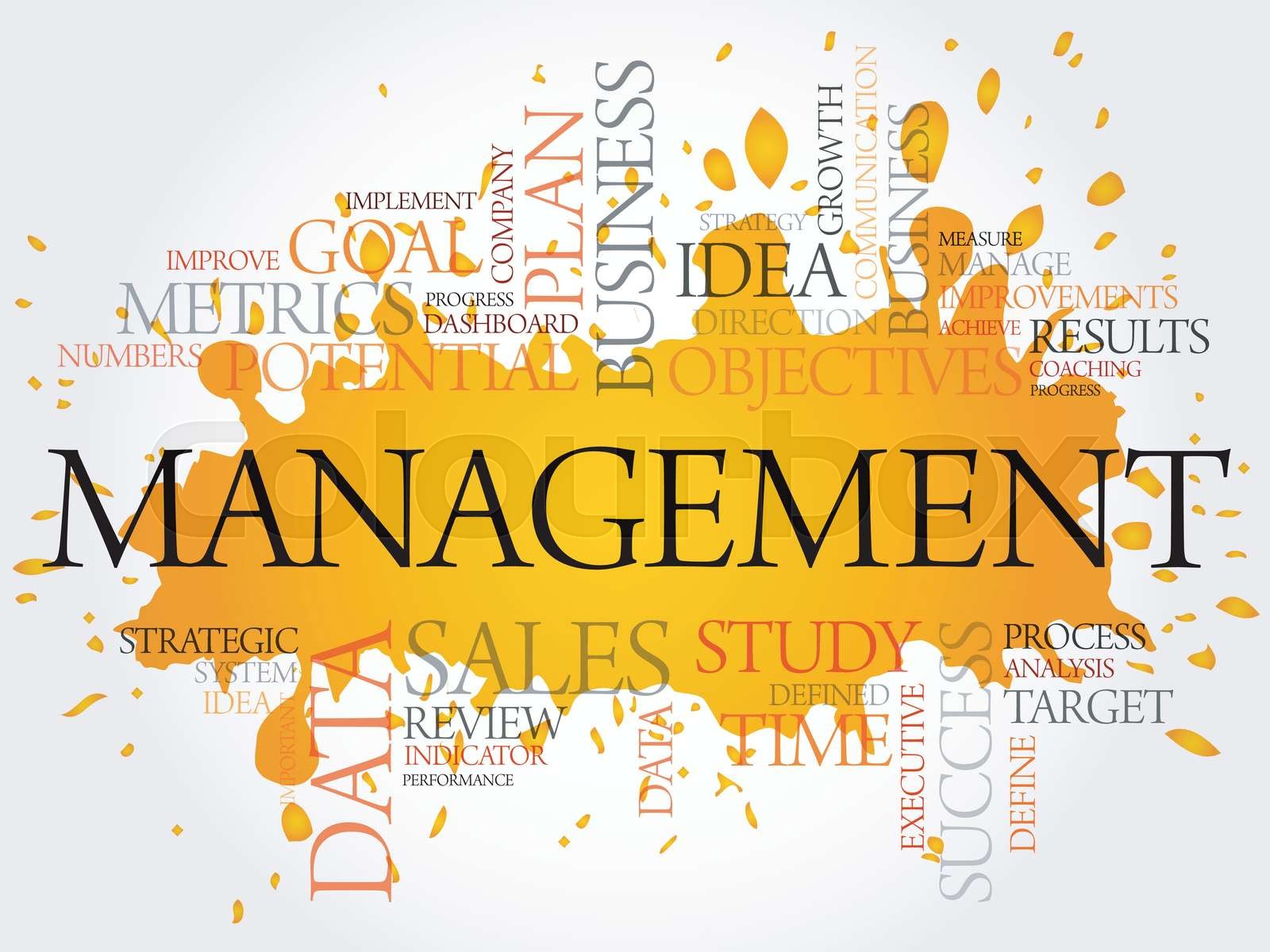 Management word cloud | Stock vector | Colourbox