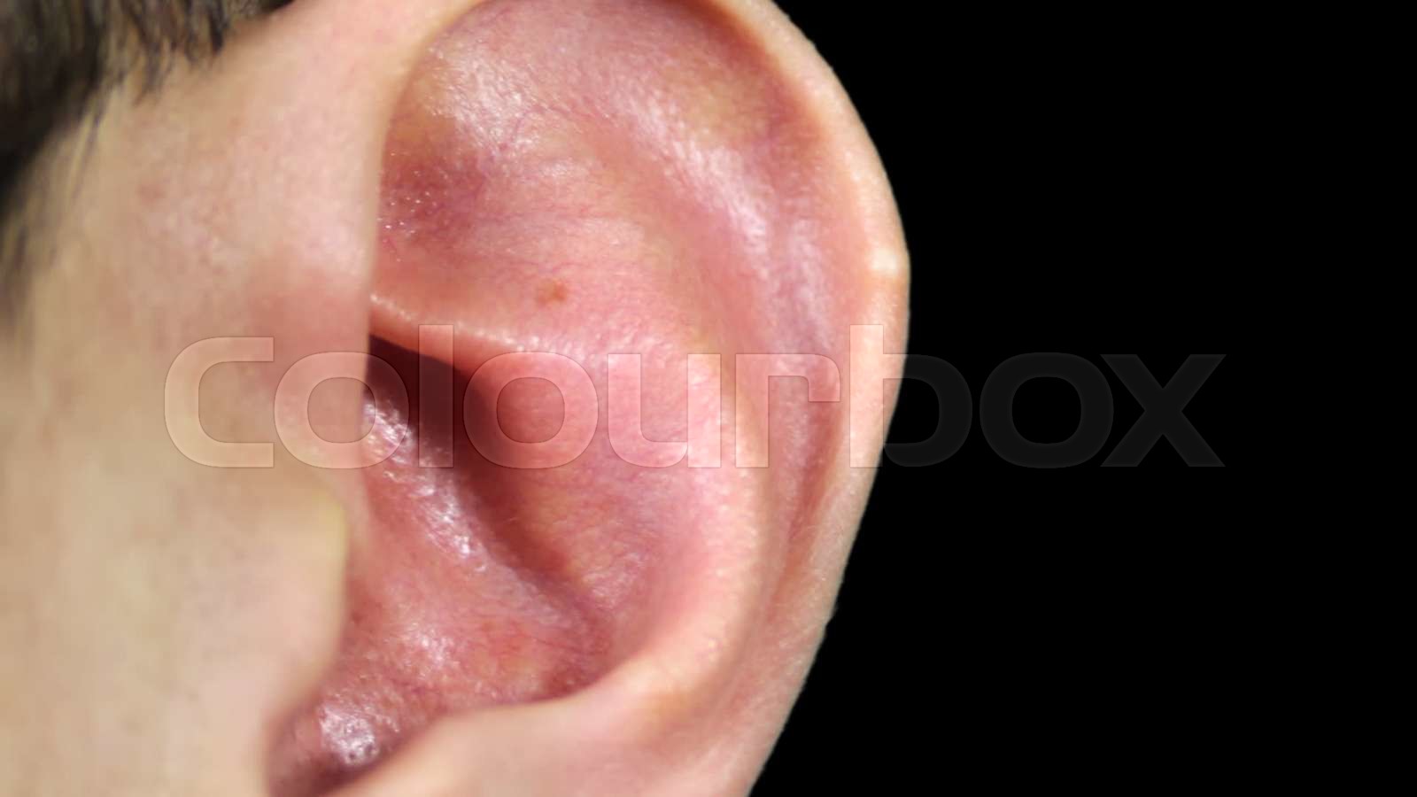 Human Ear, Alpha Channel | Stock video | Colourbox