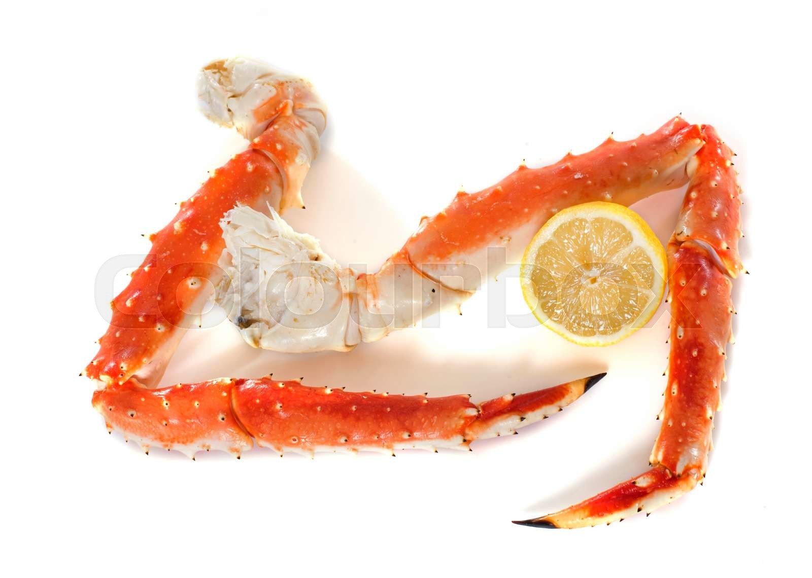 Red king crab leg | Stock image | Colourbox