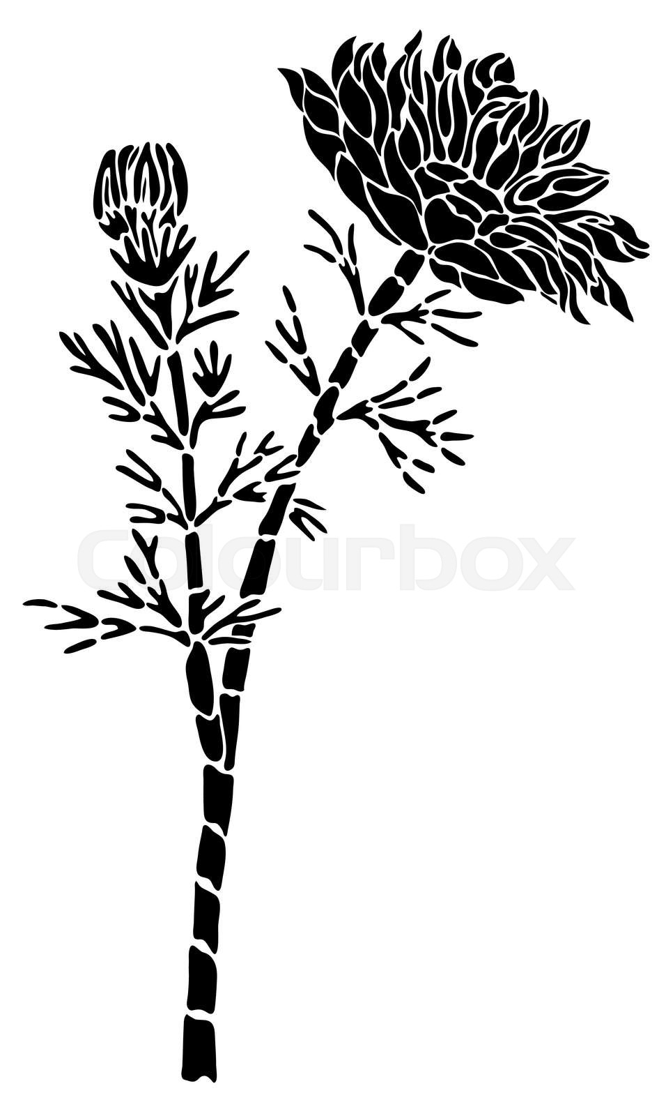 Black tattoo flower of Adonis | Stock vector | Colourbox