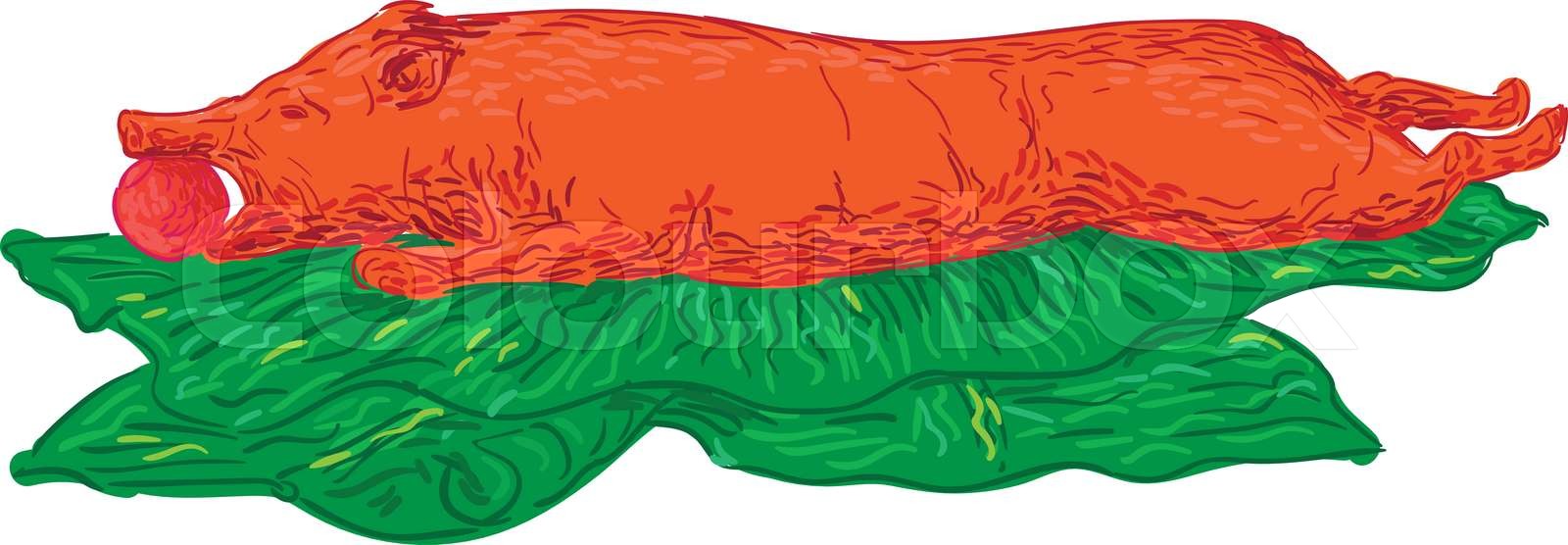 Roast Pig Lechon Banana Leaves Drawing | Stock vector | Colourbox