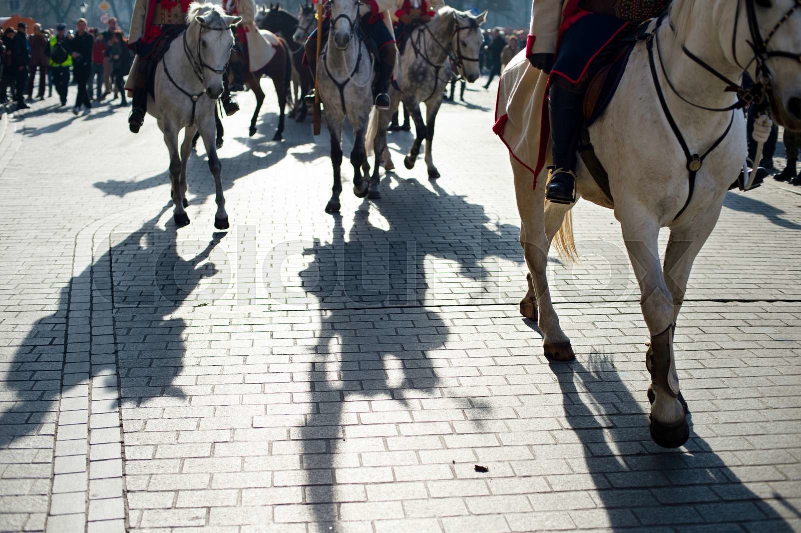 Horses parade in a city | Stock image | Colourbox