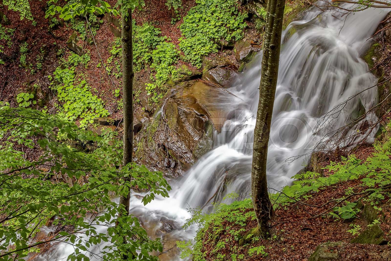 Mountain river with rapids and waterfalls | Stock image | Colourbox