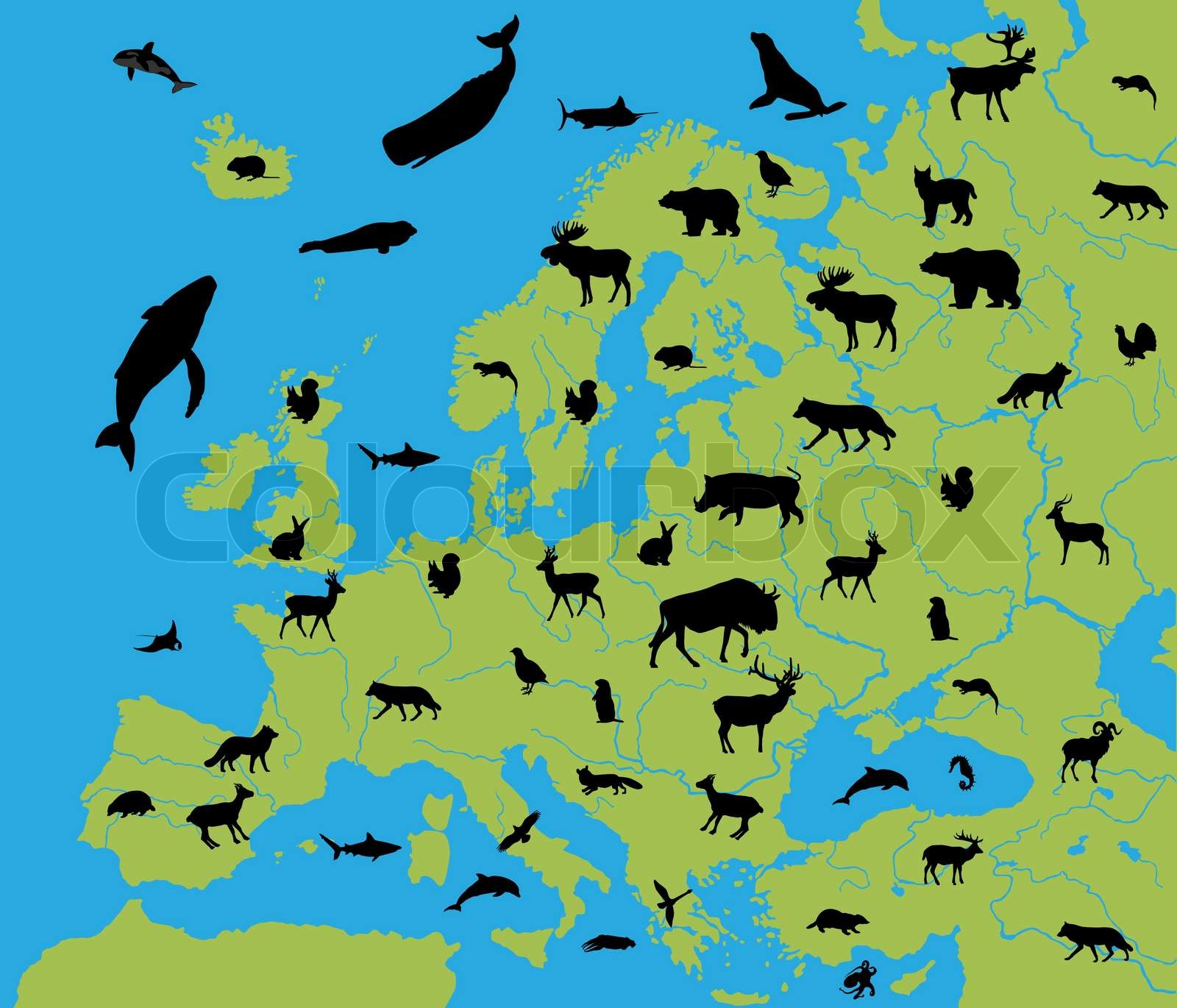 Animals on the map of Europe | Stock vector | Colourbox