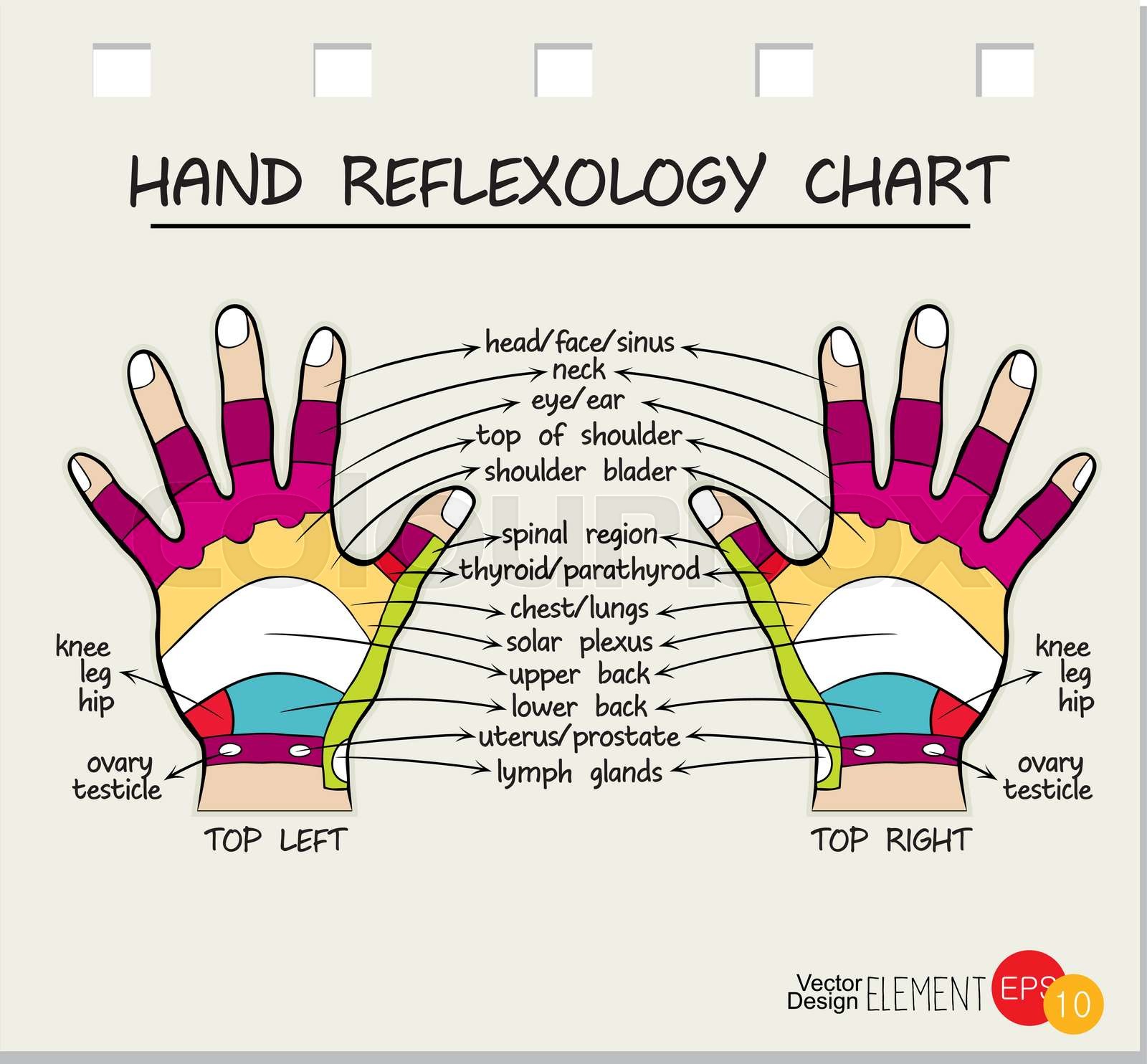 Hand Reflexology