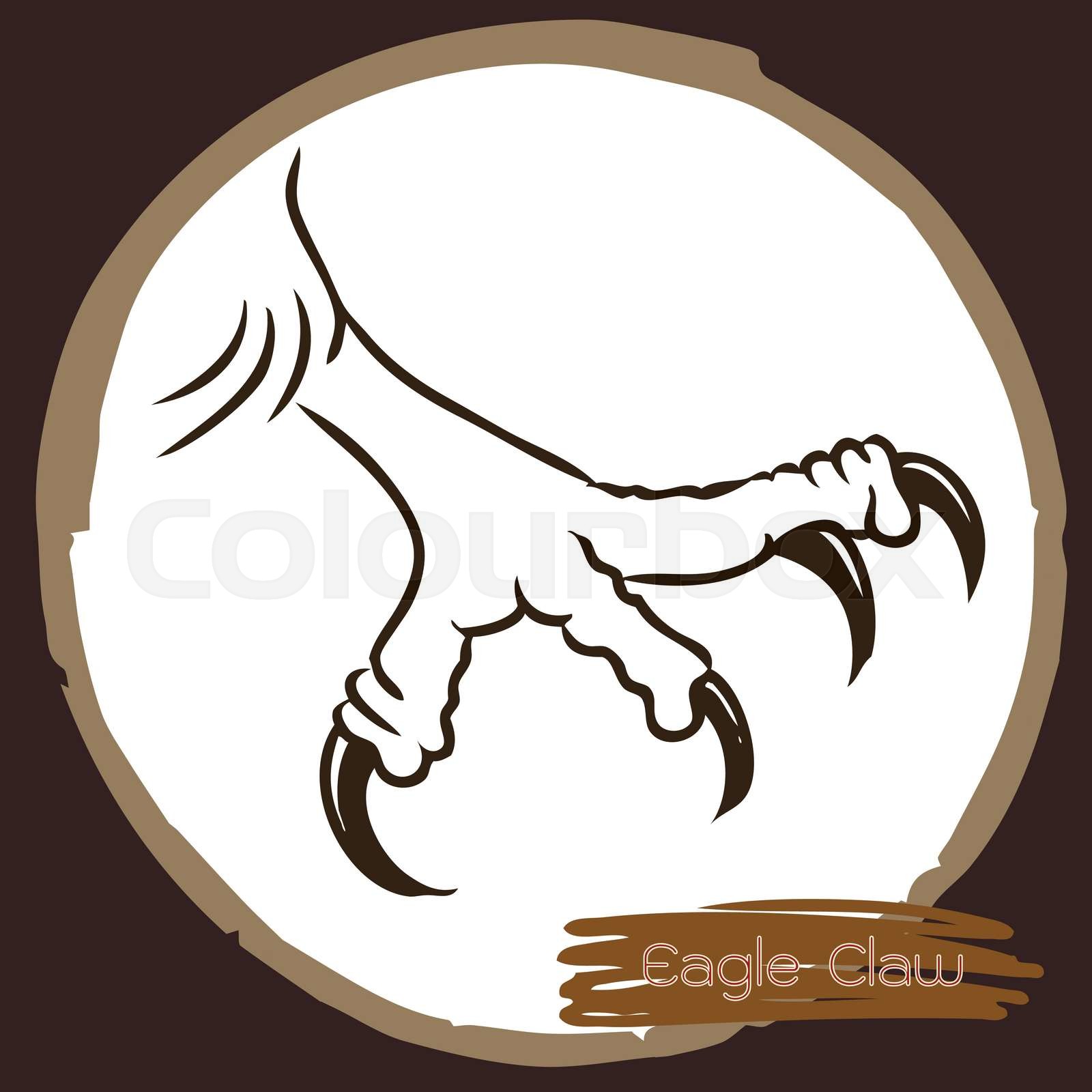 illustration of eagle claw, hawk bird | Stock vector | Colourbox