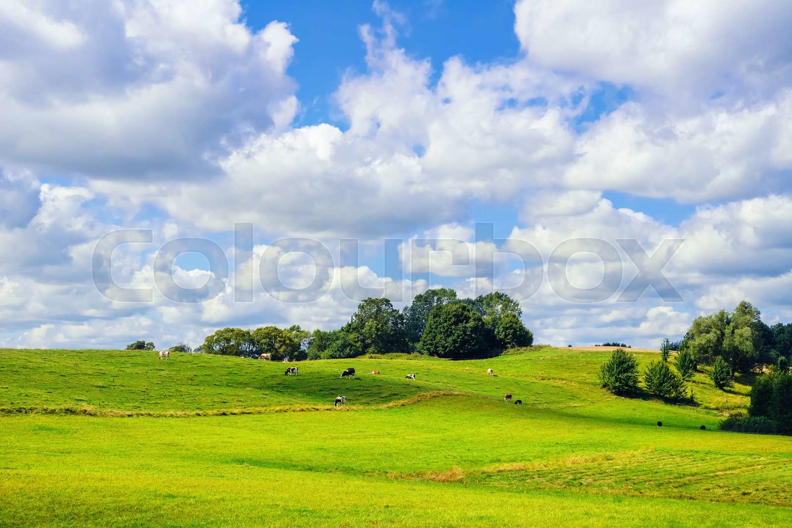 Pasture Land | Stock image | Colourbox