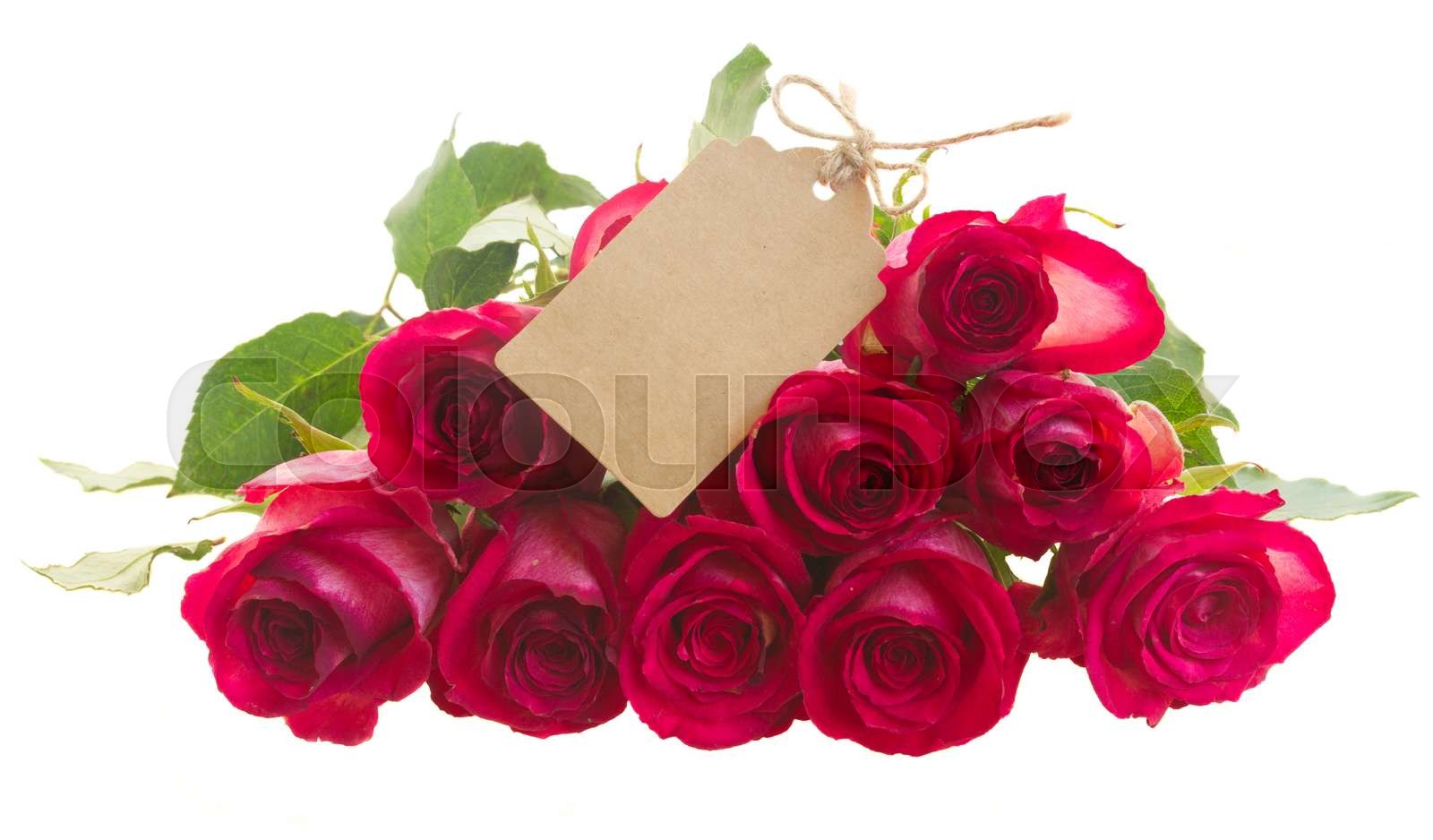 pile of red roses | Stock image | Colourbox