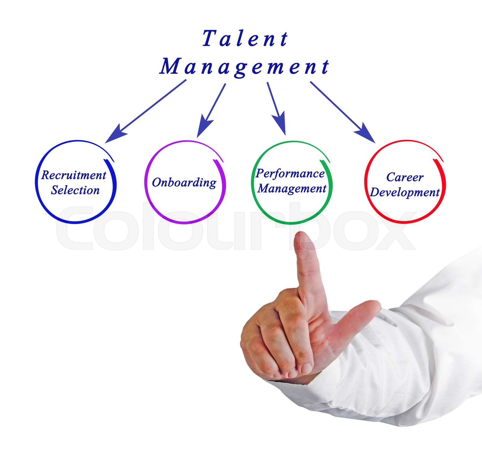 Diagram of Talent Management | Stock image | Colourbox