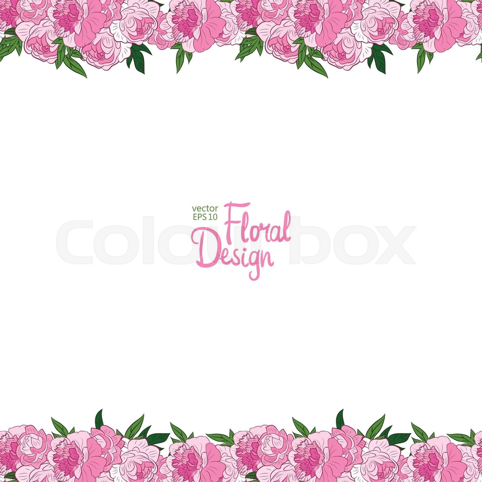 Vector border with peonies | Stock vector | Colourbox