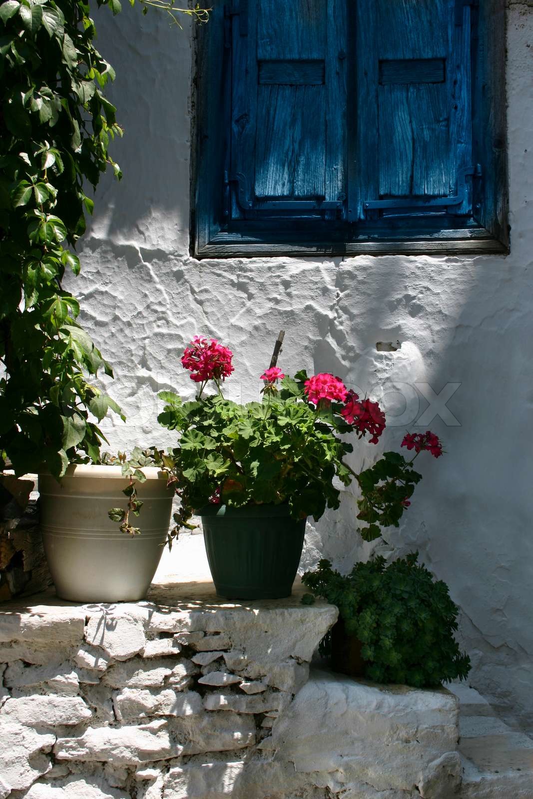 Blue greek window shutters and red geranium against white plaster stone ...