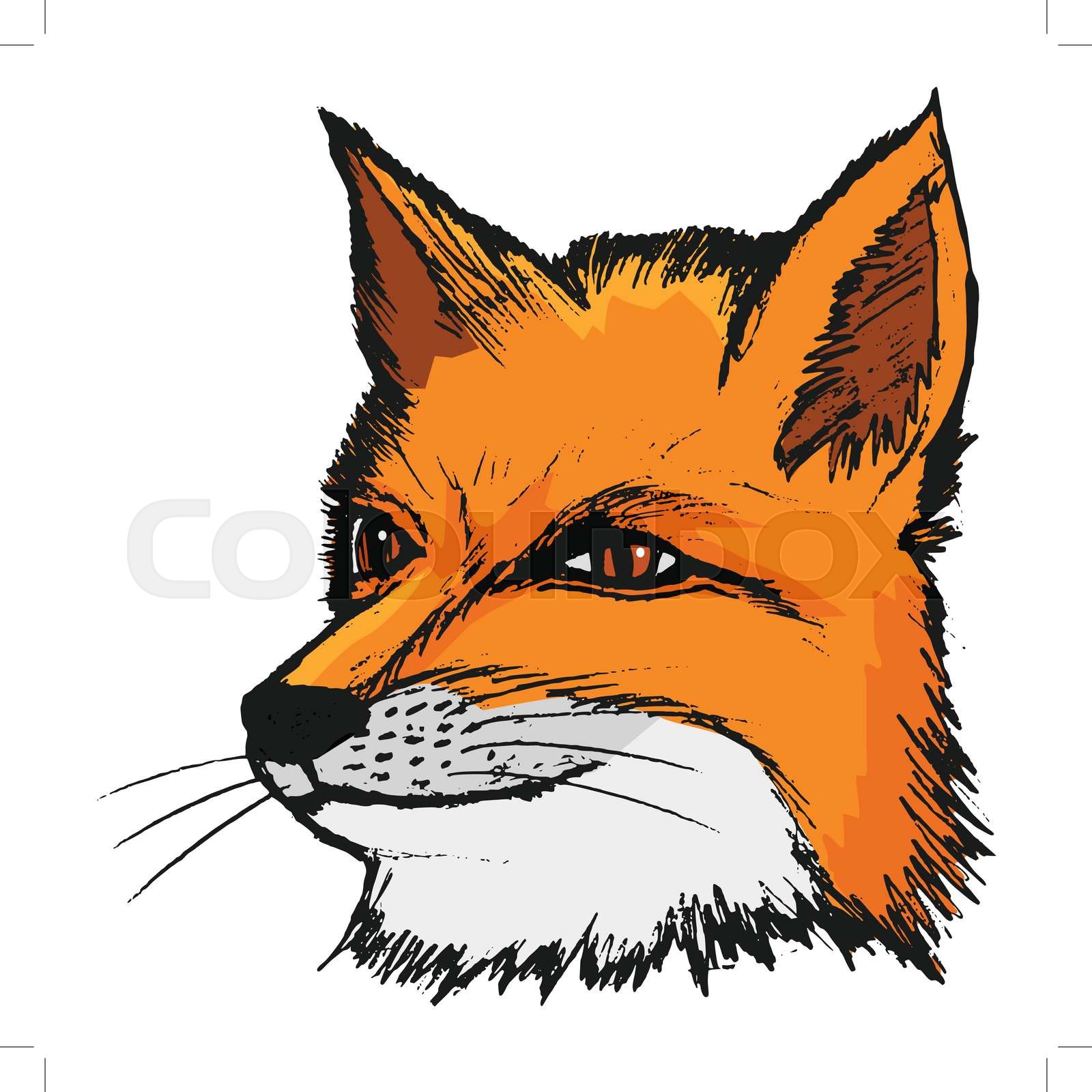 fox, illustration of wildlife, animal of forest, sly, predator | Stock ...
