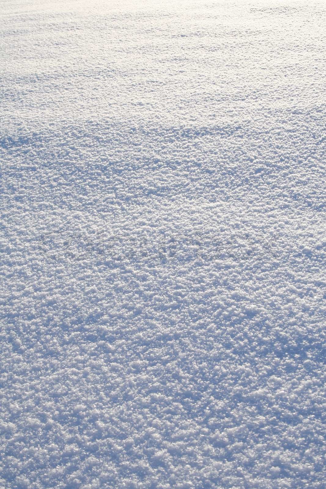 Pure white snow | Stock image | Colourbox