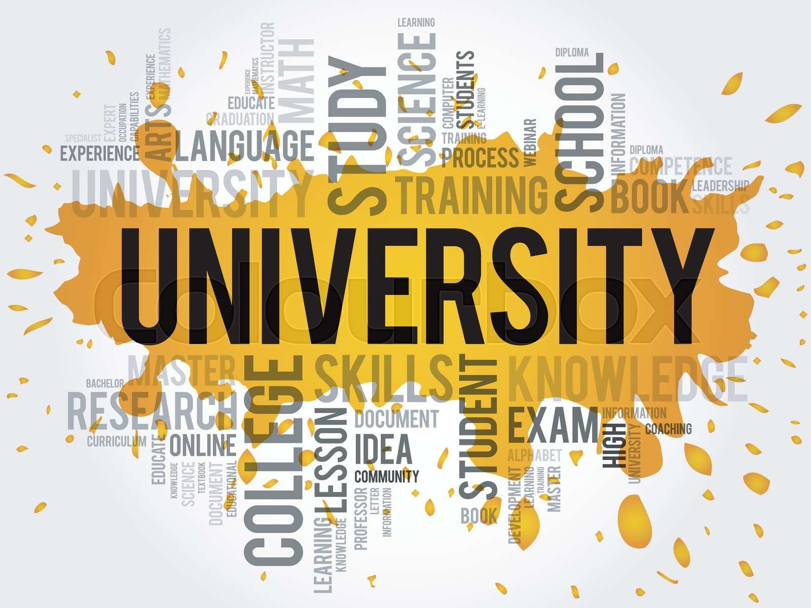 UNIVERSITY word cloud | Stock vector | Colourbox