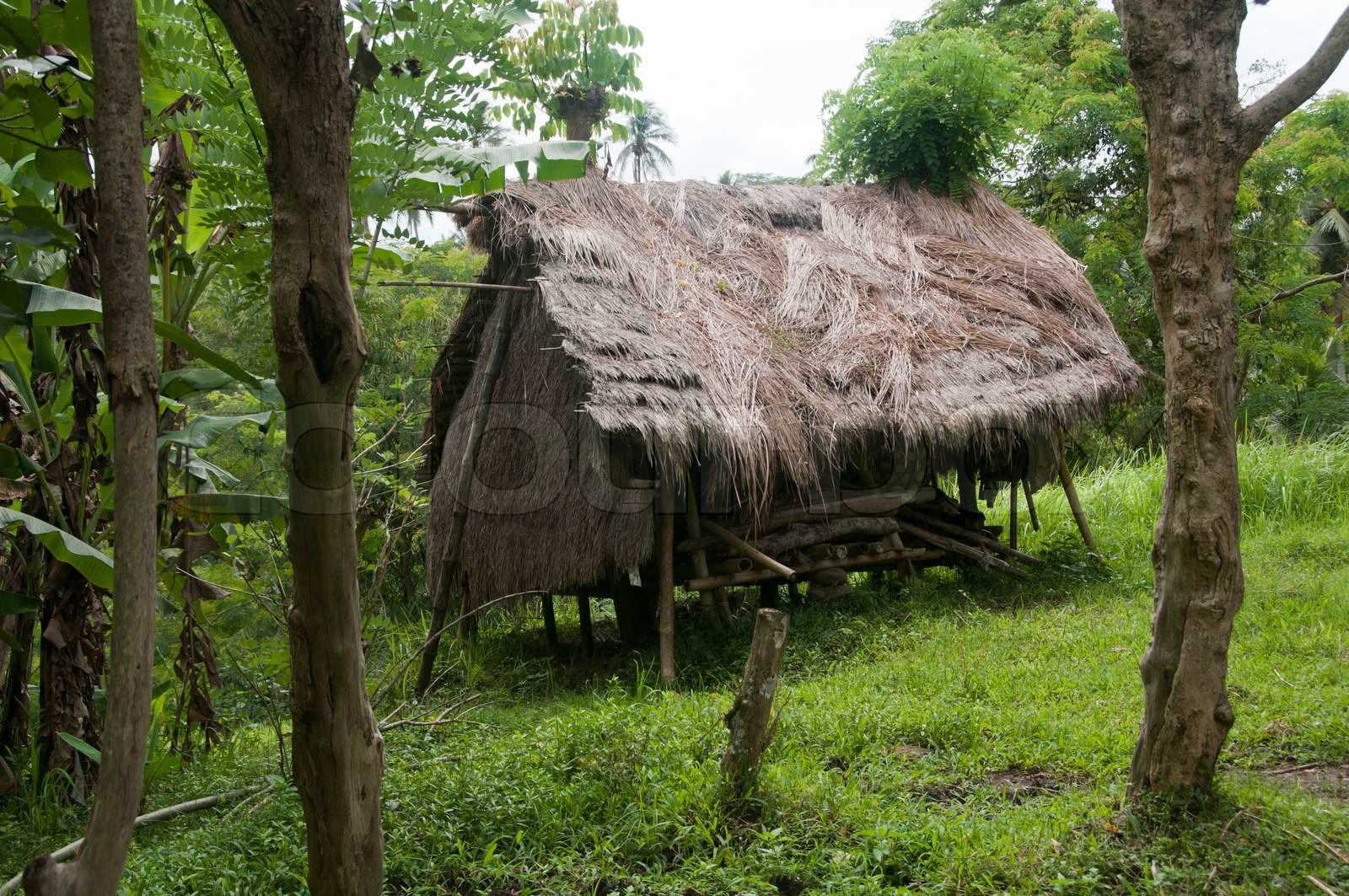 old poor house in Ubud bali | Stock image | Colourbox