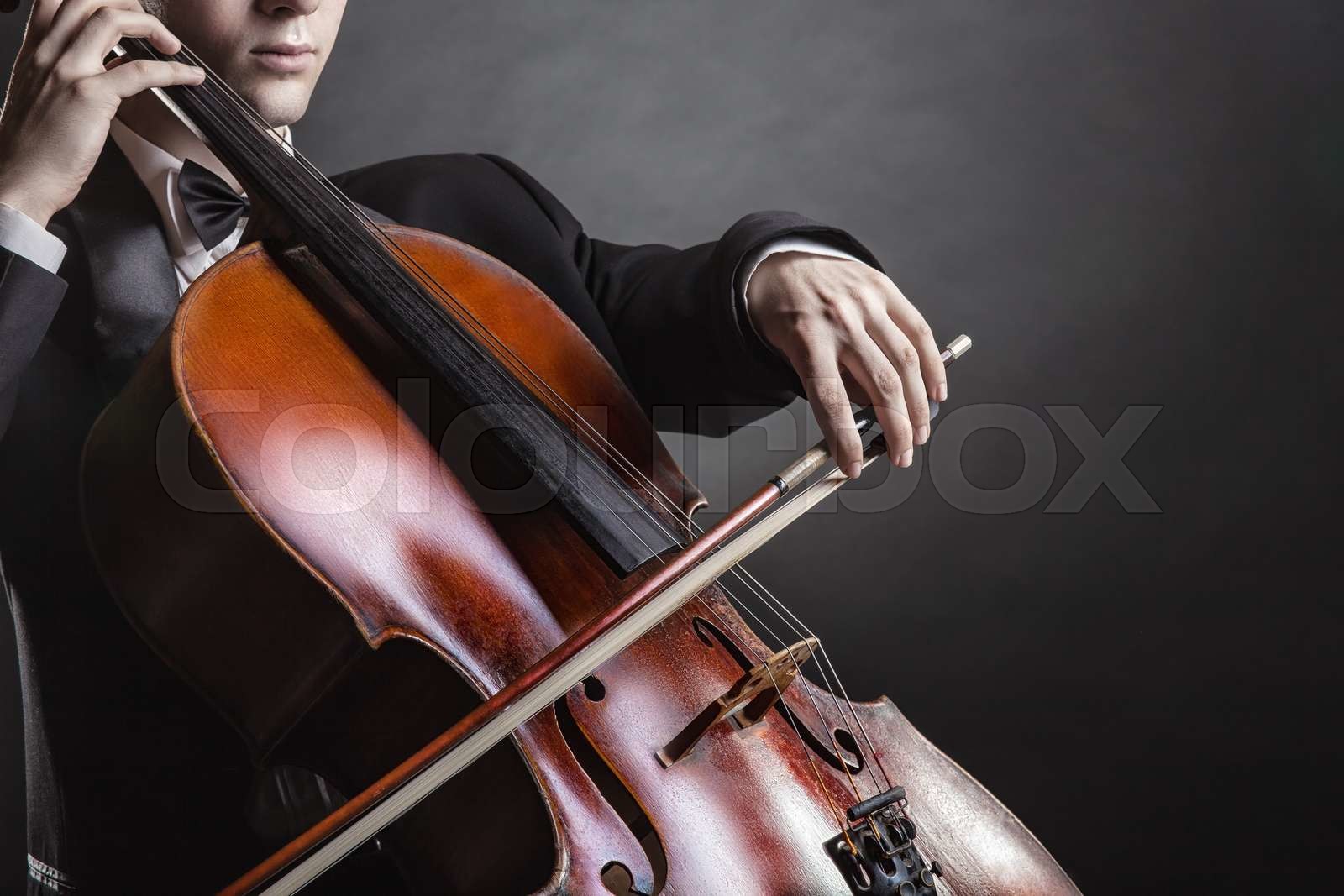 Musician | Stock image | Colourbox