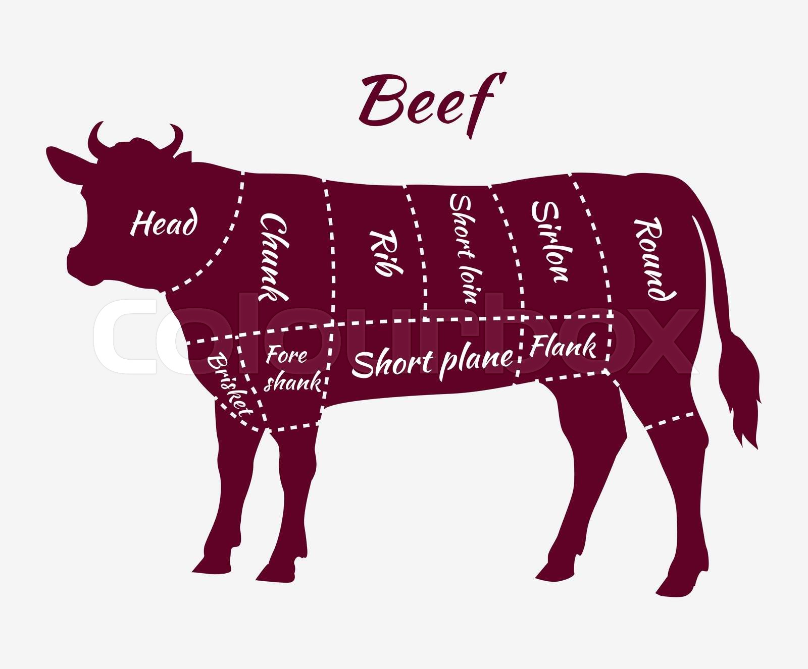 Scheme of Beef Cuts for Steak and Roast | Stock vector | Colourbox